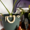 Snake Plant Pal Accessory - Etsy