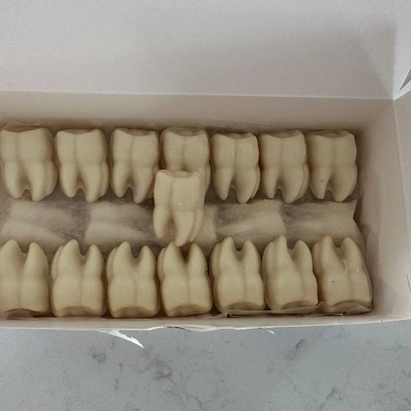 Chocolate Teeth, Tooth Chocolates, Dentistry, Dental Hygienist, Dentist ...
