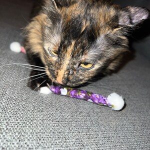 3 Squiggly Soft Cat Toys Optional Feathers Catnip Bell No - Etsy
