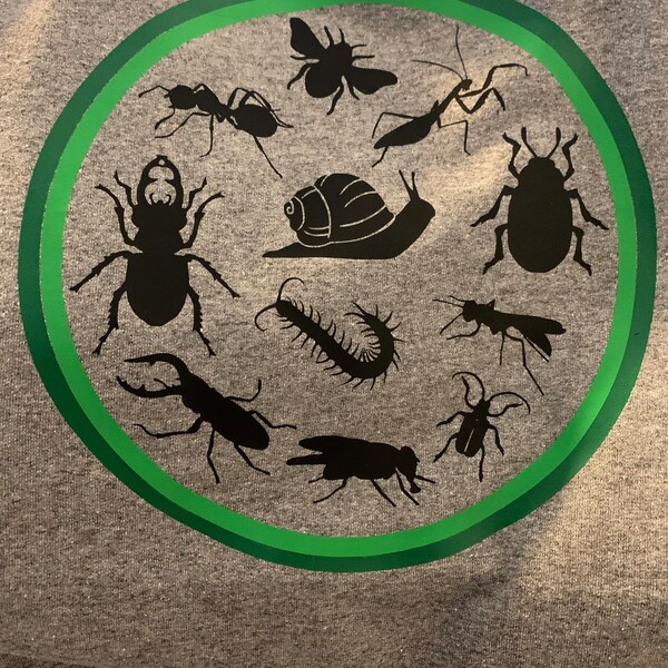 51 Insect SVG / Insect Bundle SVG / Cricut / Cut Files / Clipart ...