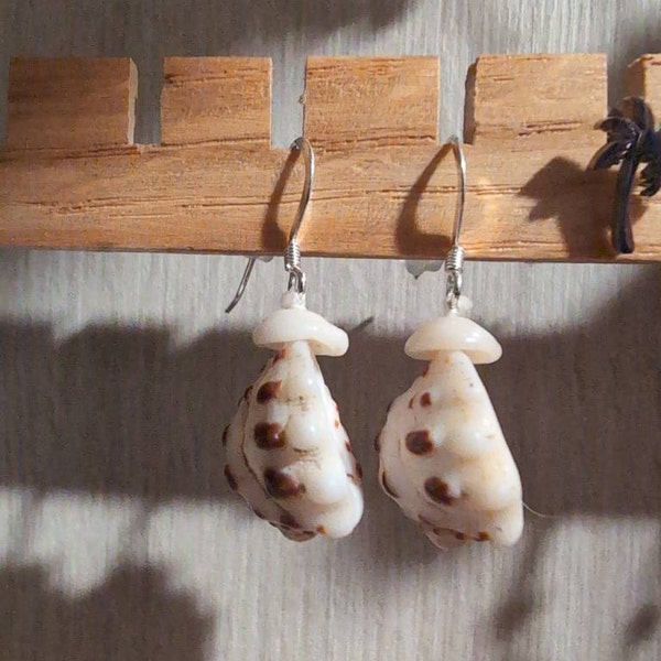 Shell Earrings Kauai Shell Earrings Hawaii Shell Earring Momi Shell ...