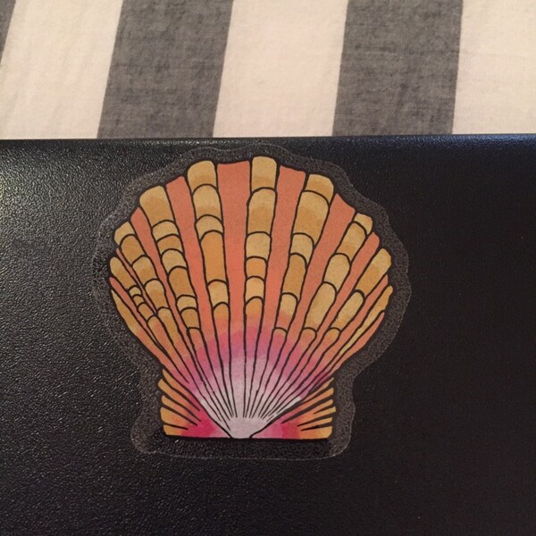 NEW Hawaiian Shell Bundle - Etsy