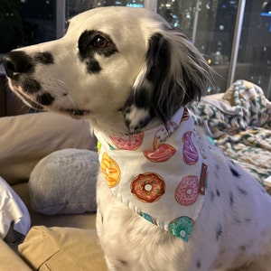 Pet ID Tag for Dogs, Dog Tag, Funny Pet Tags, Cute Pet ID Tags, Dog ...