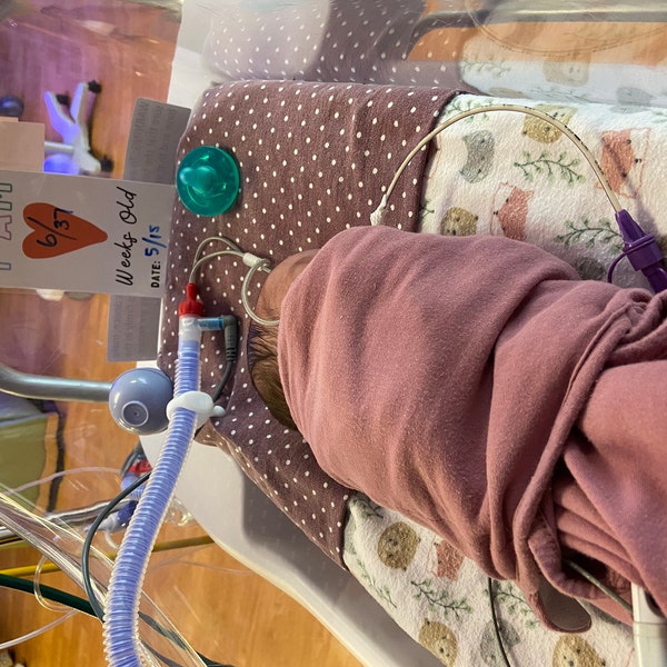 My NICU Family Printable, Nicu Family Poster, My Nicu Family Photo Prop ...