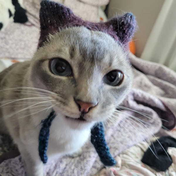 PATTERN Matching Knitted Hats for You and Your Cat - Etsy