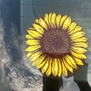 Hand Drawn Sunflower Car Window Decal Flower Car Window Decal Flowers ...