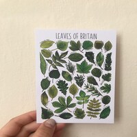 Leaves of Britain Postcard, Trees Poster, Tree Collection, Leaf ...