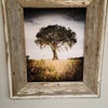 Tree Photography Print, Nature Wall Art, Lone Tree Photo, Sunset Tree ...
