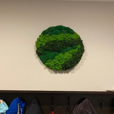 Make Your Own Moss Art, DIY Moss Wall Kit, Round Moss Art Work ...