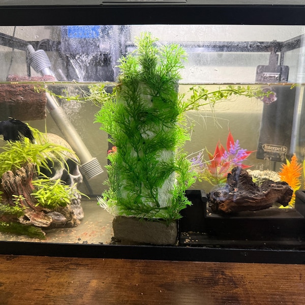 Finnex Stingray Original LED Light Riser, Attractive Stable Elevated ...