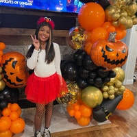 Amy Rose Mask/hedgehog Face/girl Hedgehog Costume/pink Hedgehog ...