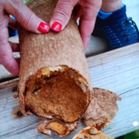 Dried Bonga Fish , Agbodo Fish 14pieces big, Wild Caught Fish, Dry Fish ...