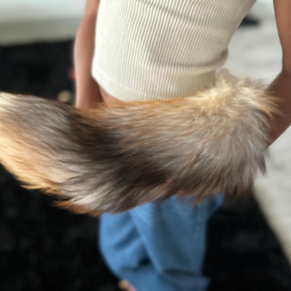 XL Smokey Red Fox Tail (XL and Regular Size), Real Fox Tail, Tails for ...
