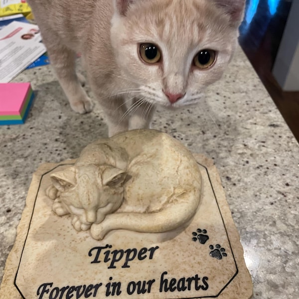 Personalized Cat Memorial Stone, Pet Loss Sympathy Poem Garden Marker ...