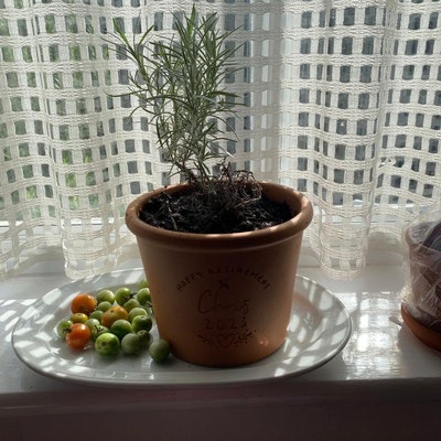 Personalised Engraved Retirement Terracotta Flower Pot, Custom Made ...