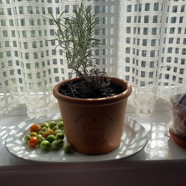 Personalised Engraved Retirement Terracotta Flower Pot, Custom Made ...