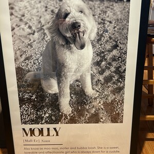 Custom Pet Poster, Personalized Dictionary Description, Pet Portrait ...