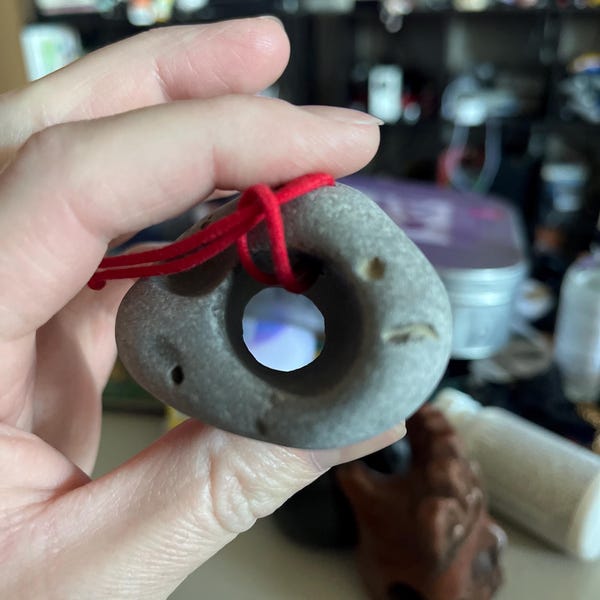 Rare Turquoise Cute, Beautiful Shell, Sea Treasure, Large Round Shell ...