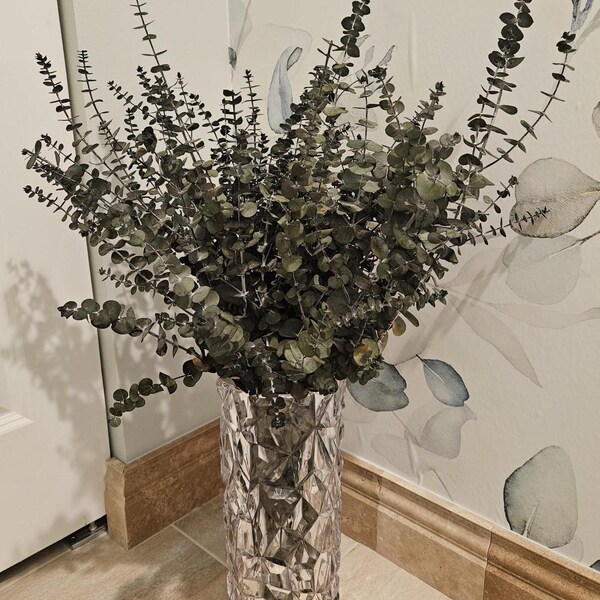 Dried Pepper Grass, Lepidium, Dried Grass, Grass Bunch, Green Grains ...