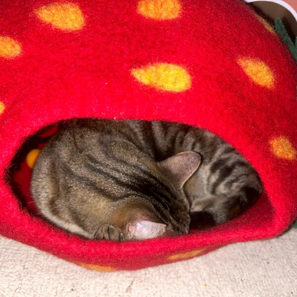 Felt Fairy Finger Puppets, Colourful Rainbow Gnomes and Fairy, Gifts ...