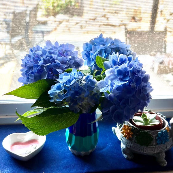 Glitter Sea Turtle Pen Black Turtles - Etsy