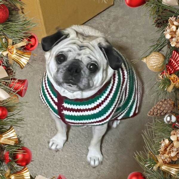 Dog Sweater Crochet Pattern, French Bulldog Clothes, Crochet Pattern ...