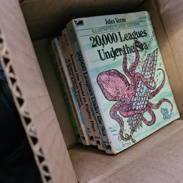 Mini Illustrated Classics, Abridged Books for Children, Classics for ...