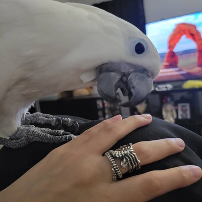 MR. Giger Inspired , Alien Facehugger Ring, Facehugger, Chestburster ...