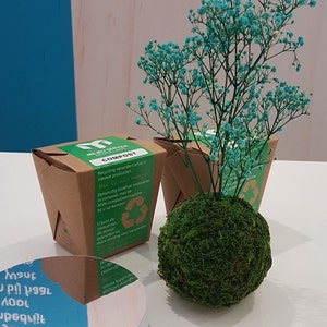 Mini Moss Wall Art in Miniature Embroidery Hoop Long Lasting - Etsy