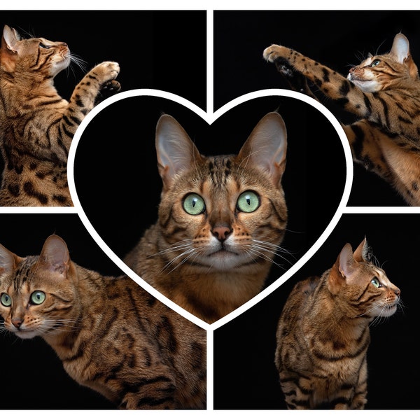 Photoshop Neon Layer Styles 100 Neon Layer Styles for Adobe Photoshop ...