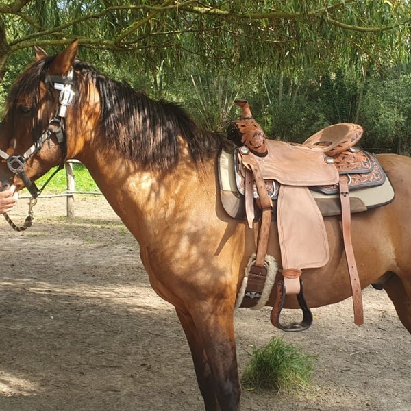 Western Premium Leather Quality Barrel Rough Out Horse Saddle With ...