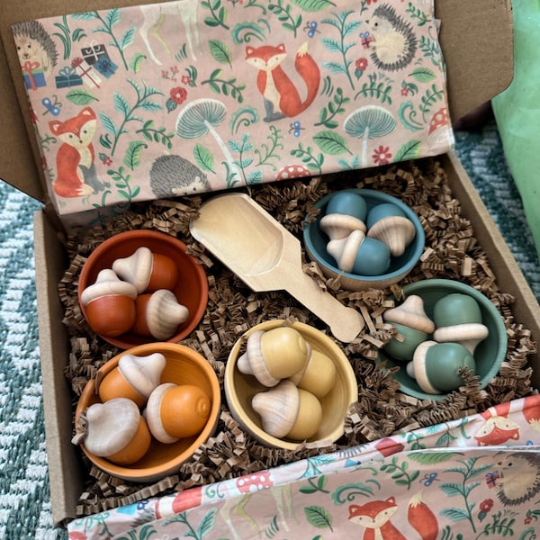 Acorn Sorting | Montessori Toys | Wooden Toys - Etsy