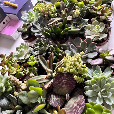 Navy Blue Chiffon Chair Drapes With Silver Ring for Hire. - Etsy UK