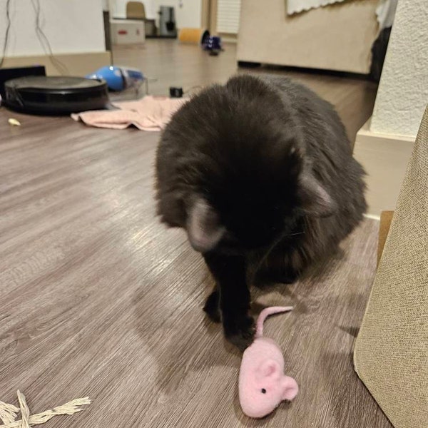 Wool Mouse Cat Toy - Choose Your Color - Etsy