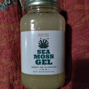 Organic Pure Sea Moss Gel Wildcrafted Irish Seaweed Moss - Etsy