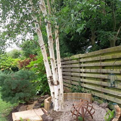 UK Rustic Garden Double Banded Sphere, Decoration Orb, Globe, Ball ...