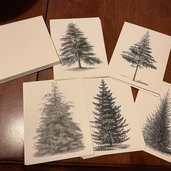 Pine Tree Note Card Set of 10 in White or Light Ivory With Matching ...