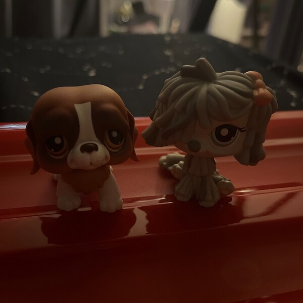 Authentic Littlest Pet Shop LPS Lot | LPS Bundle of 30+ Pets | - Etsy