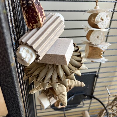 Sola Ball Fun Hand Made Toys for Small to Medium Pet Birds Using Safe ...