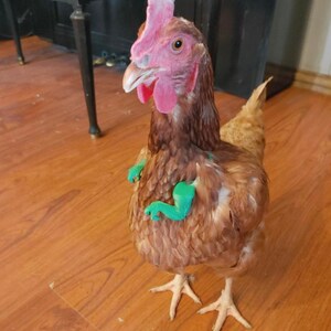 3D Printed Chicken Arms Velociraptor T-rex Dinosaur Arms - Etsy