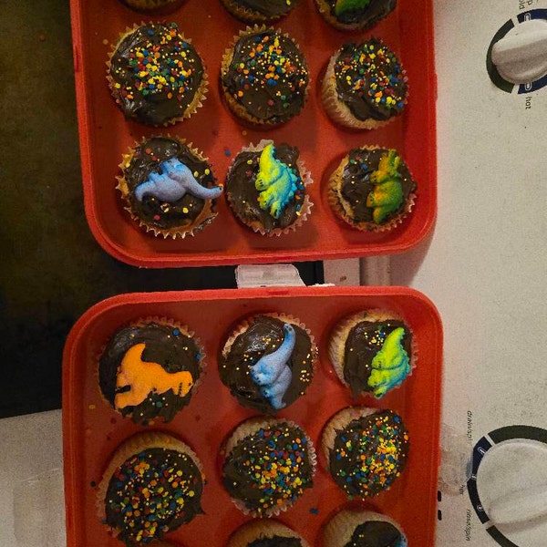 Philadelphia Eagles NFL Edible Football Confetti Sprinkles Cake Donuts ...