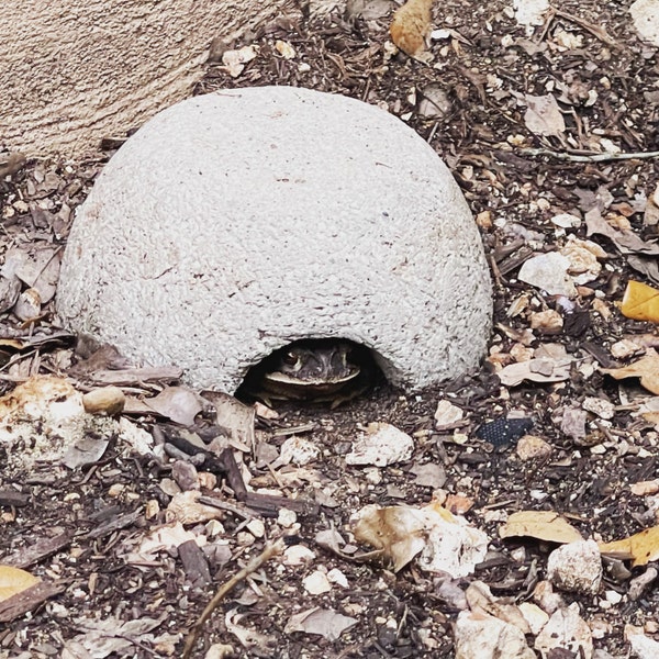 Hypertufa Toad House, Toad Abode, Frog Home, Handmade Outdoor Decor ...