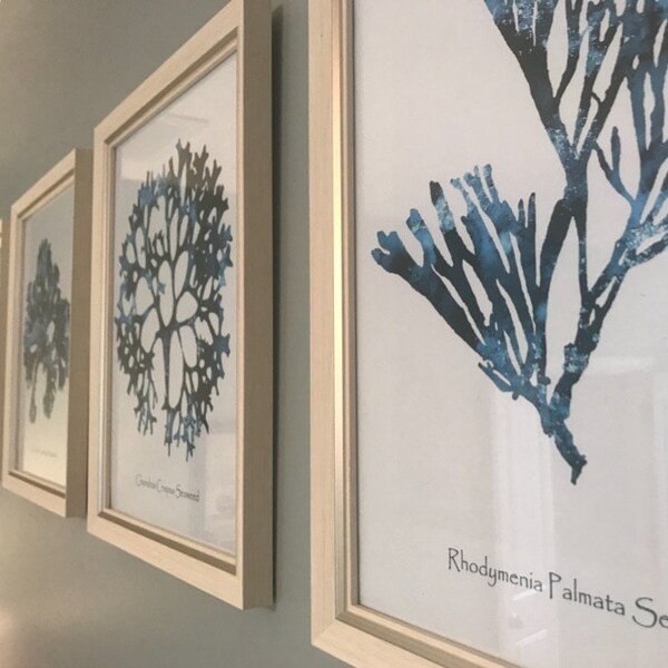 Hamptons Wall Art Set of 4 Prints, Coral Print, Seaweed Print Set ...