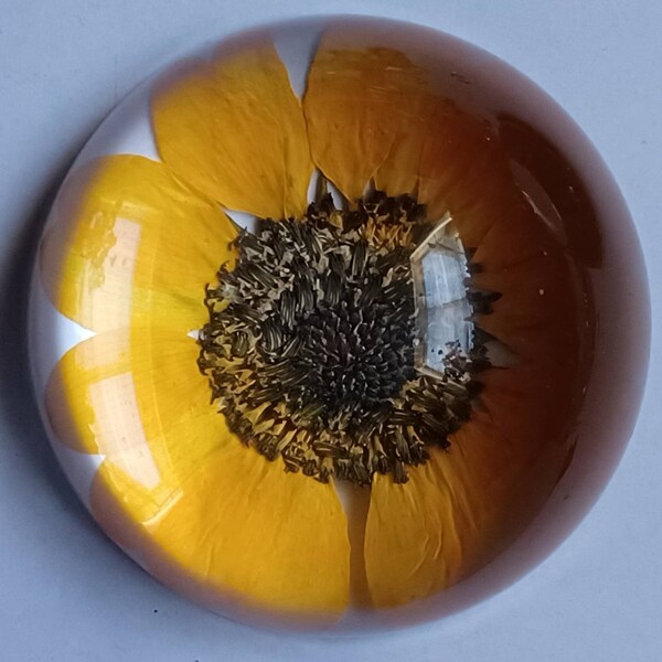 Pressed Dried Sunflower for Floral Art Craft Resin Cast - Etsy