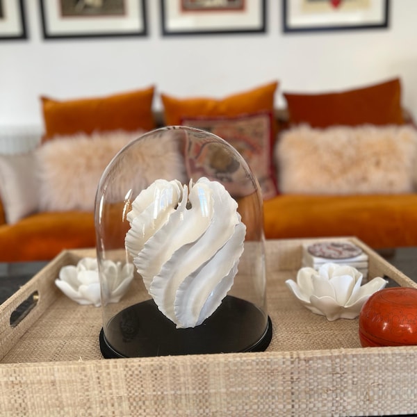 EMH Handmade Circular Glass Display Cloche Dome Bell With Knob and ...