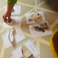 DESERT ANIMALS Flash Cards | Vocabulary Builder | Montessori Inspired ...