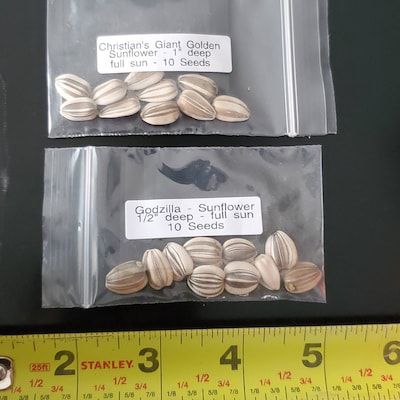 Extra Long Handle Dipper Gourds Seeds TREATED SEEDS - Etsy