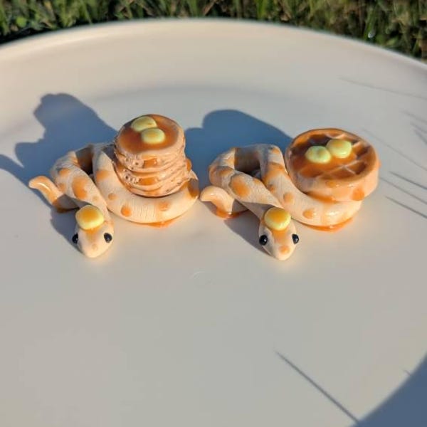 Snake Collection: Pancake Clay/ Pottery/ Art - Etsy