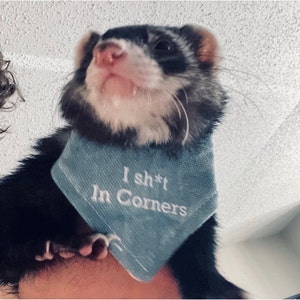 Sea Breeze Ferret Bandana Ferret Scarf Ferret Accessories Clothes for ...