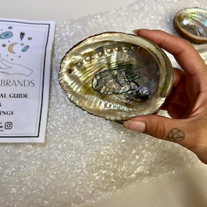 Wholesale Abalone Shells for Smudging, Smudging Bowl to Smudge White ...